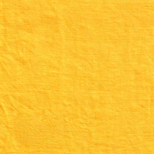 swatch wagtail – egg trading